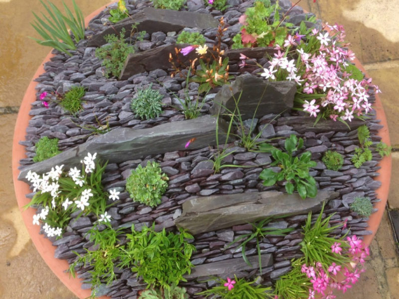 Alpine bowl - D'arcy and Everest