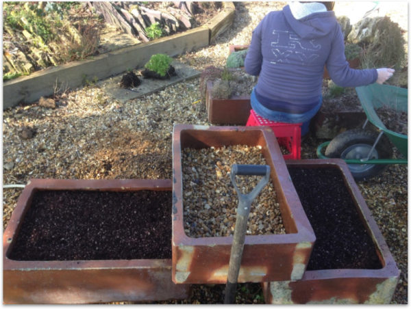 Step-By-Step Guide - D'arcy and Everest